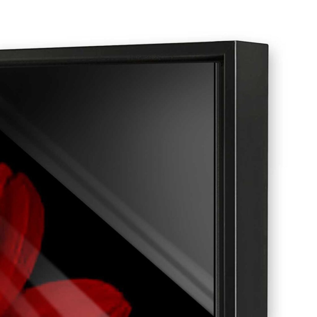 Red Flower 3 | Photography | PICTOCLUB